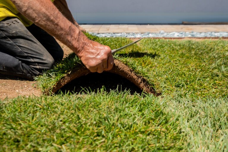 Home - austinturfgrass.com