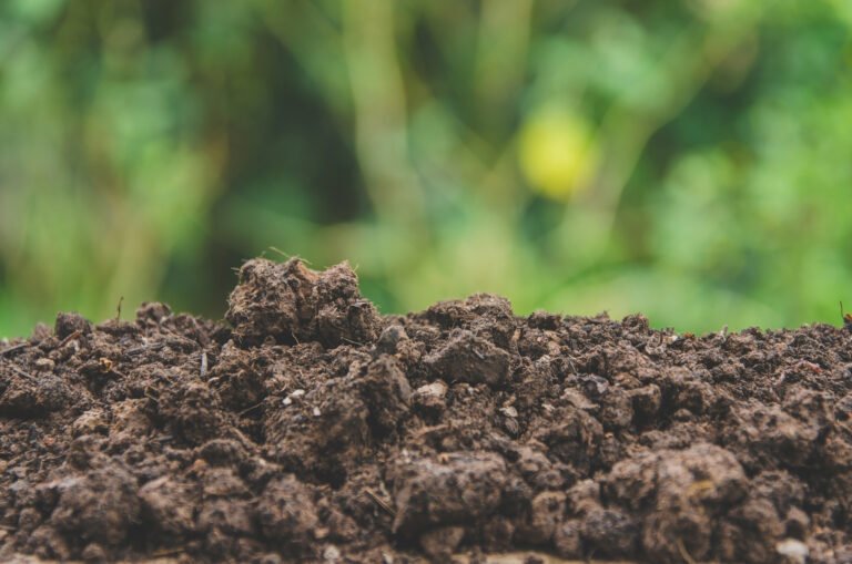 Home - austinturfgrass.com
