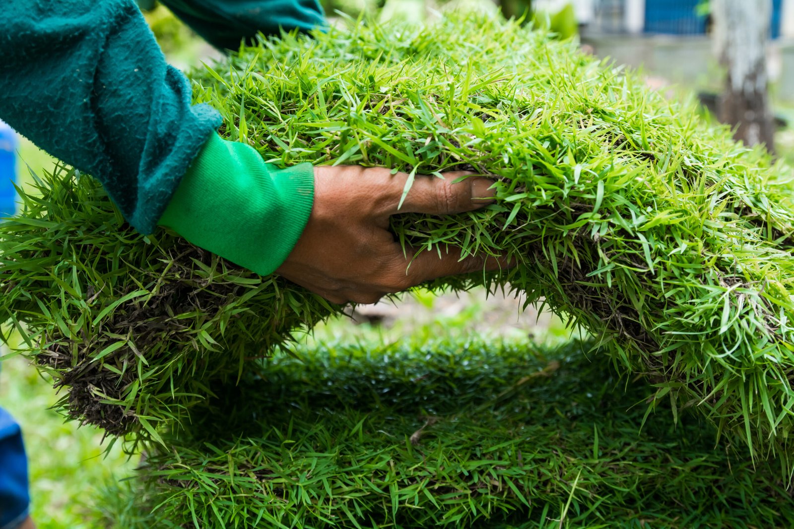 Home - austinturfgrass.com